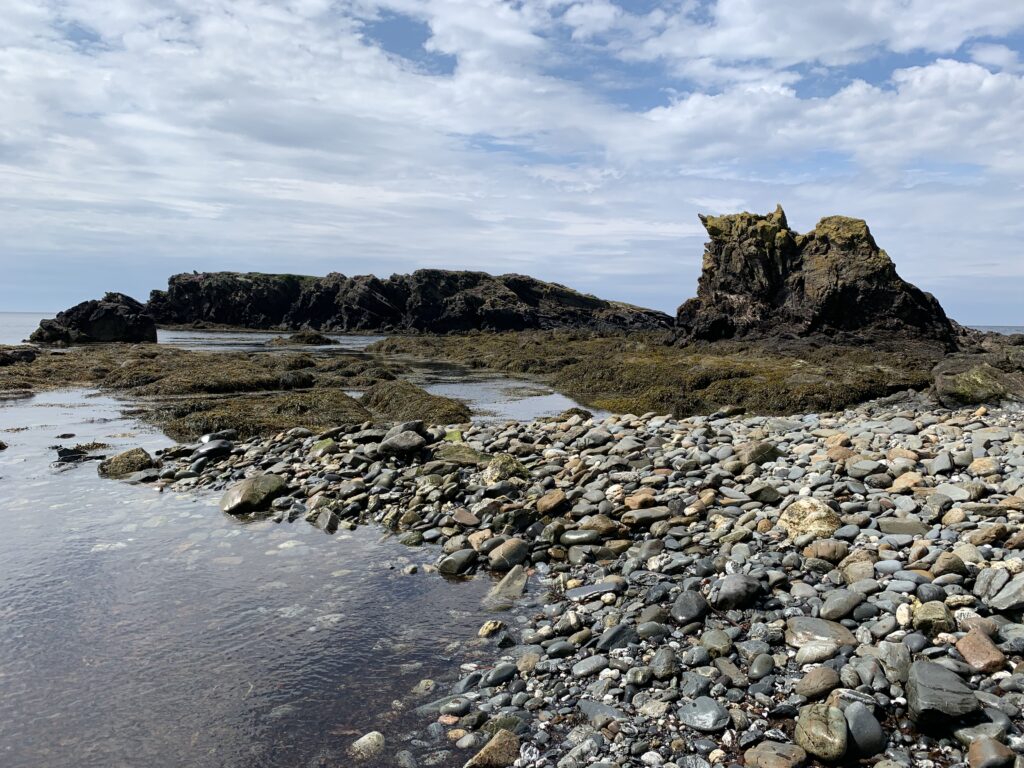 Sea Level and Coastal Change – Quaternary Research Association