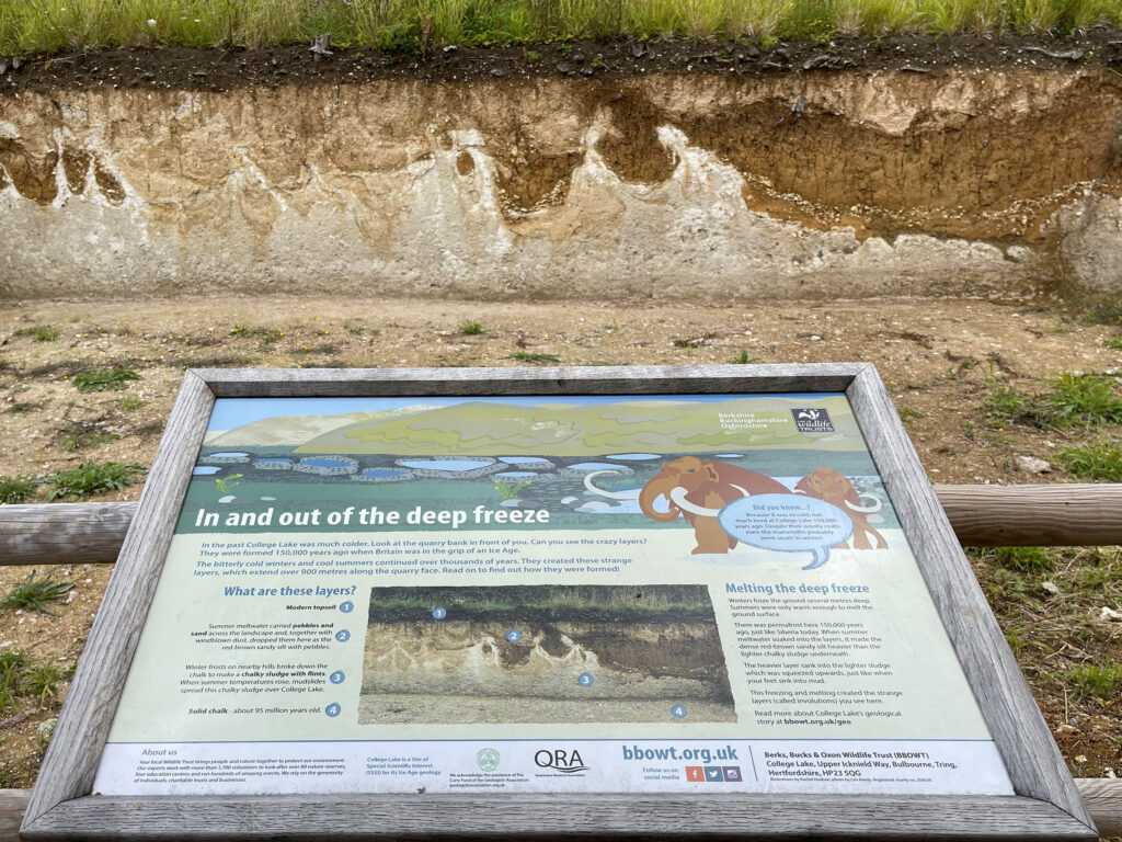 Geoconservation of Quaternary sites – Quaternary Research Association