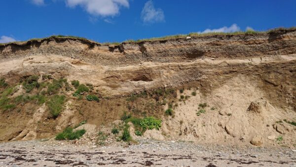 Geoconservation of Quaternary sites – Quaternary Research Association